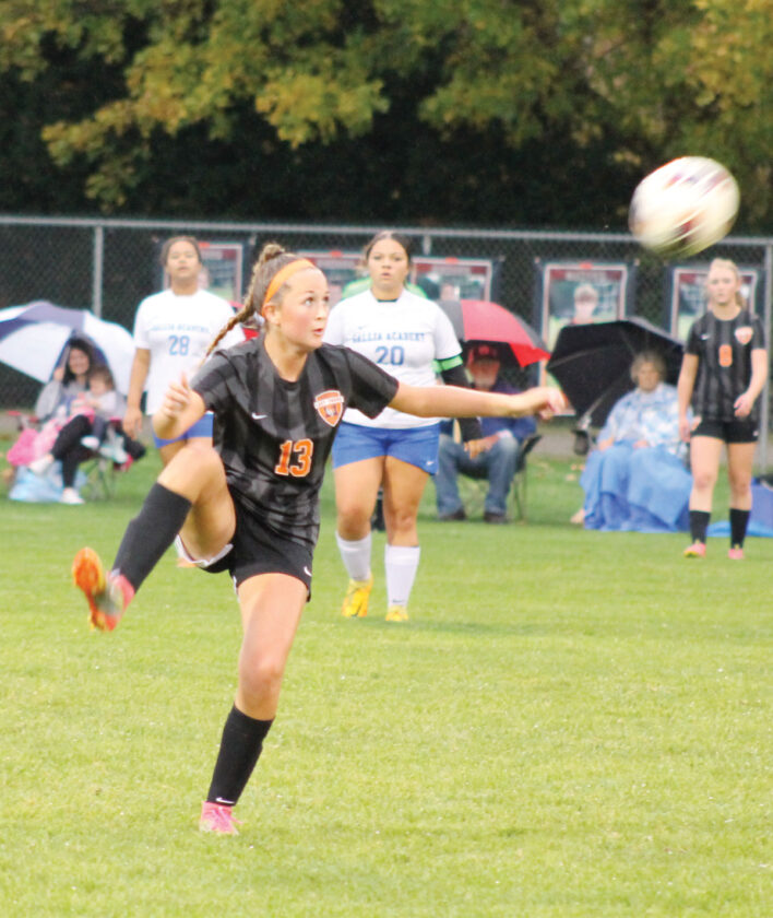 Tigers girls soccer wins fifth straight sectional title in match ...